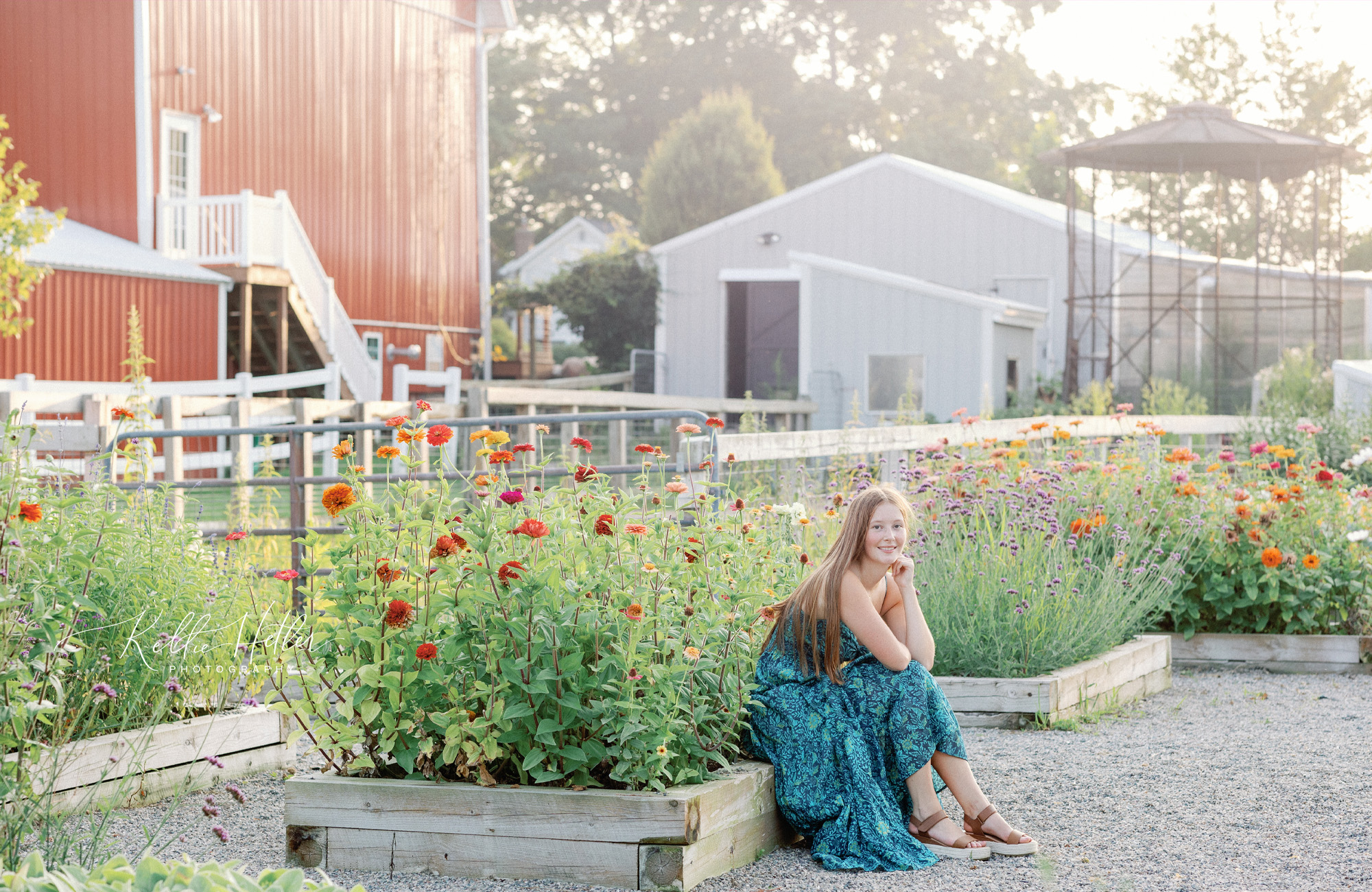 Senior Session at Wildwood Family Farms | Addison | Kellie Hetler ...